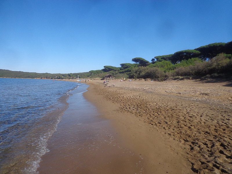 Prenota le spiagge a Baratti | Beacharound