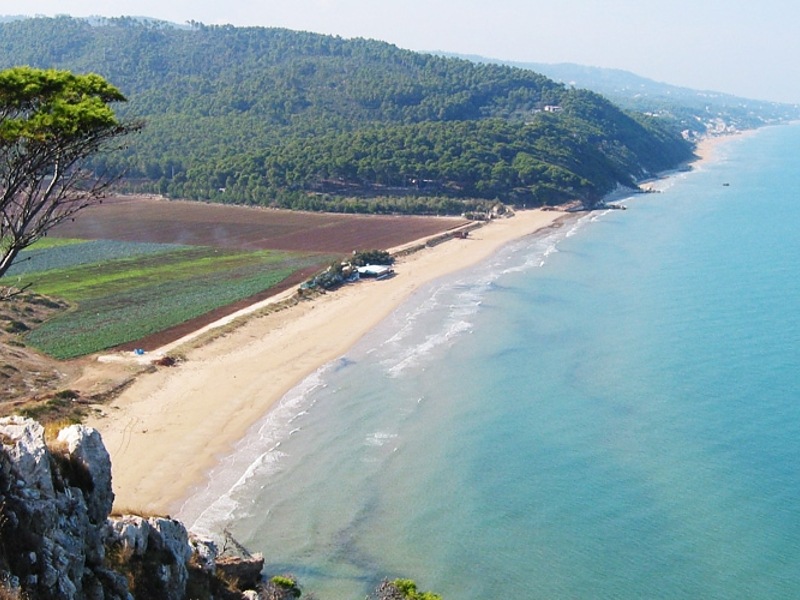 Prenota le spiagge a Sciali degli Zingari | Beacharound